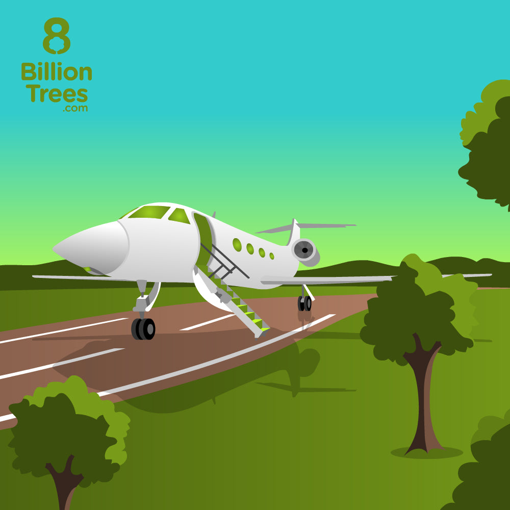 Private Jet: Carbon Offsets | 8 Billion Trees
