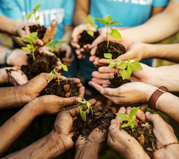 Billion Trees Monthly Subscription - Plant 10 Trees | 8 Billion Trees