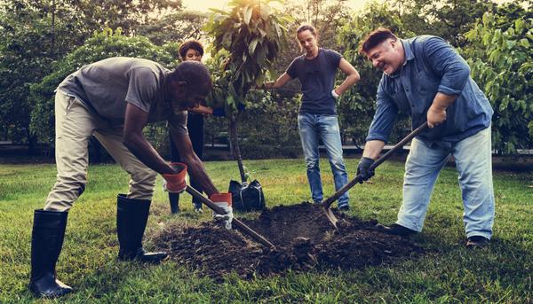 8 Billion Trees Monthly Subscription | 8 Billion Trees